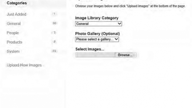 Basics of the 'Edit' System | Services - The Manual